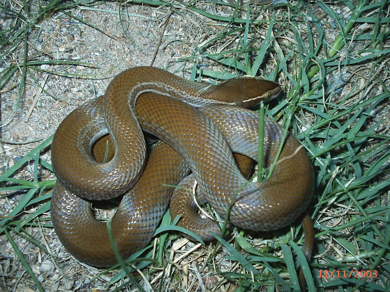 0004 - Impact of Construction on the Environment - Dewsbury Crafts